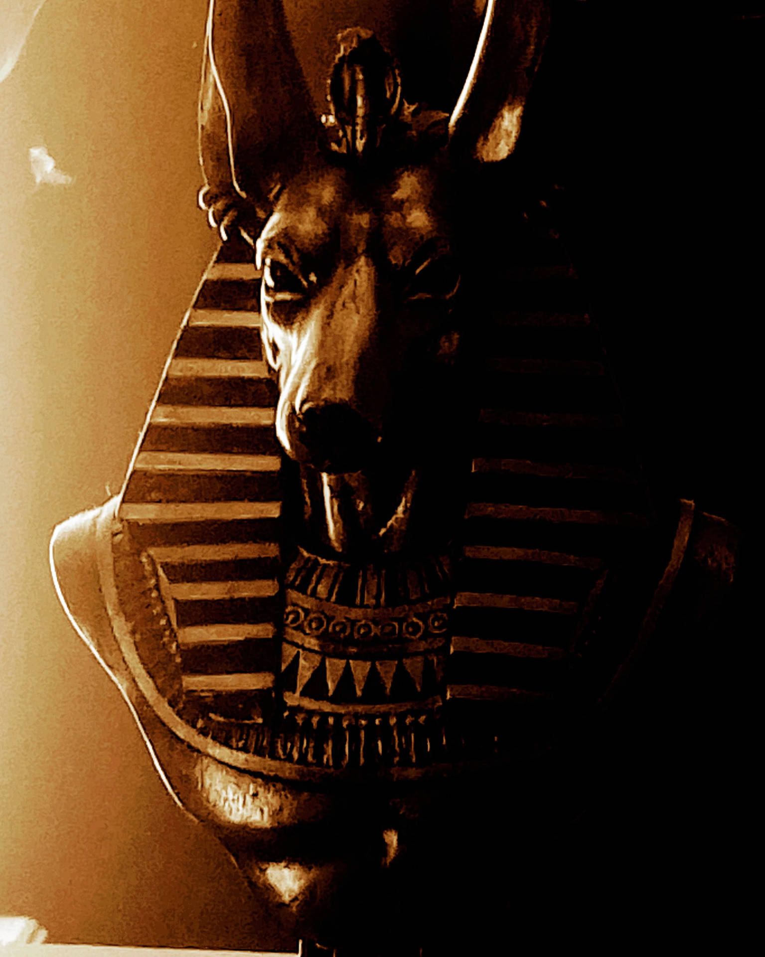 100 Free 4k Anubis HD Wallpapers & Backgrounds - MrWallpaper.com