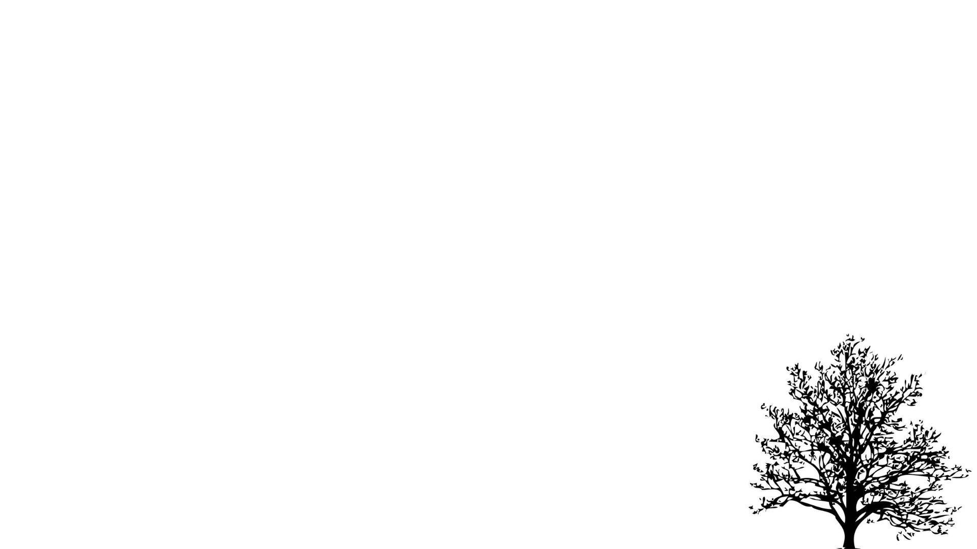 Black And White Tree Desktop Wallpaper Wallpaper Forest, Trees,