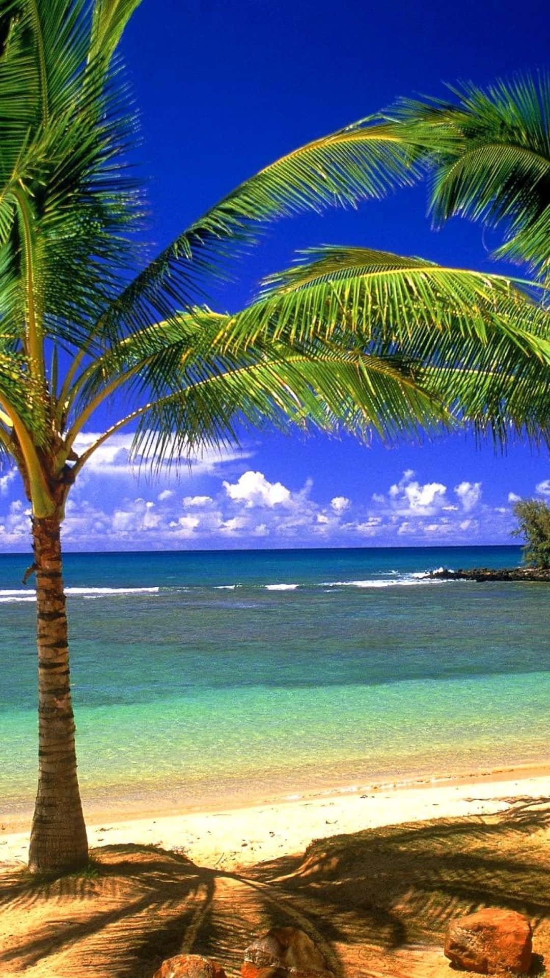 Mobile Wallpapers Beach Beautiful Beach Mobile Wallpaper Background