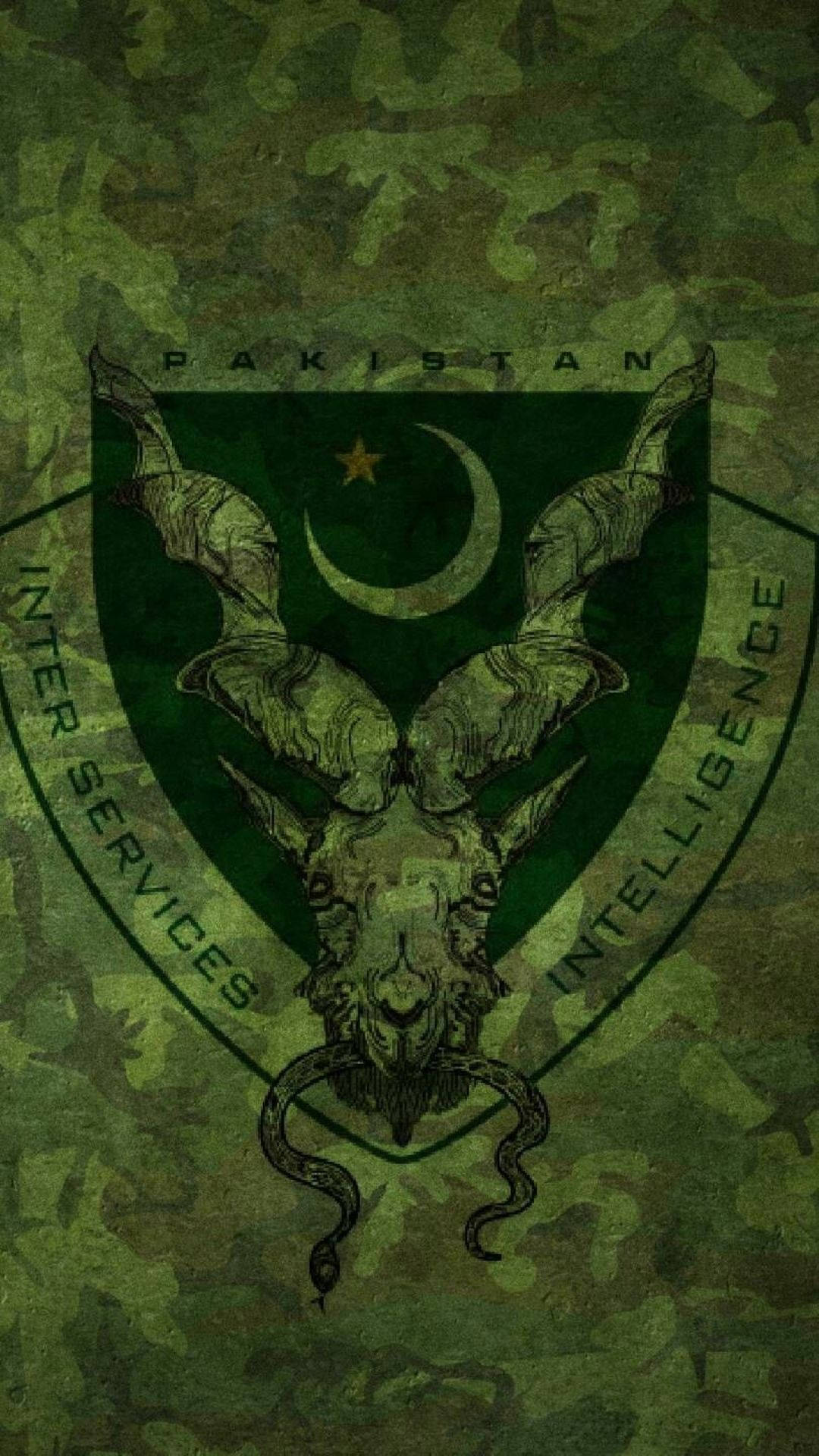 Pakistan Team Logo