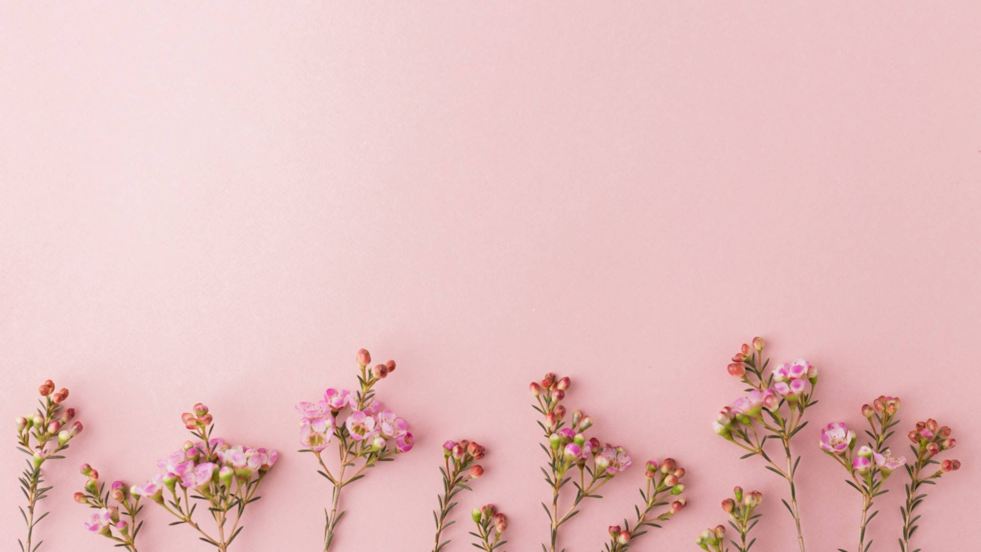 Rose gold girly wallpapers store