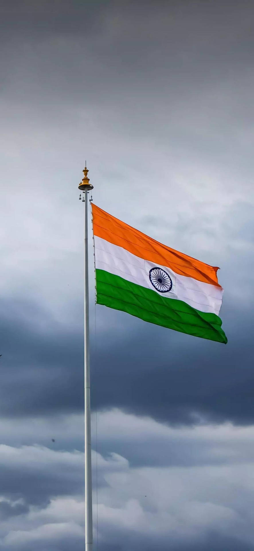 Indian Flag Hd Wallpaper 4k For Mobile Free - Infoupdate.org