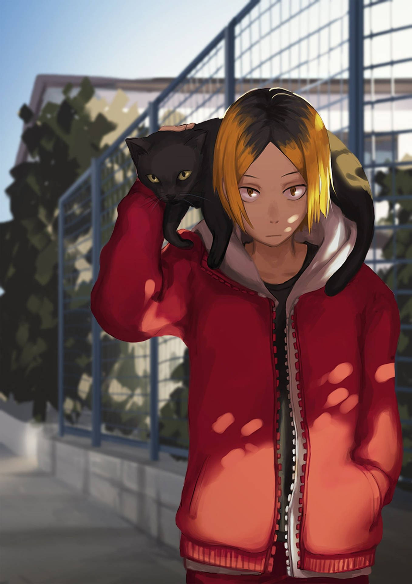 Kenma Kozume HD Wallpapers 100 MrWallpaper