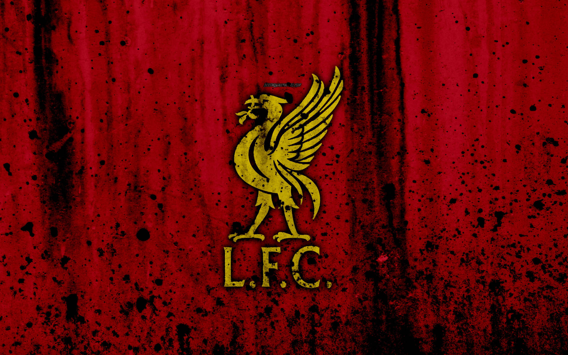 Lfc Desktop Wallpaper 4k - Infoupdate.org