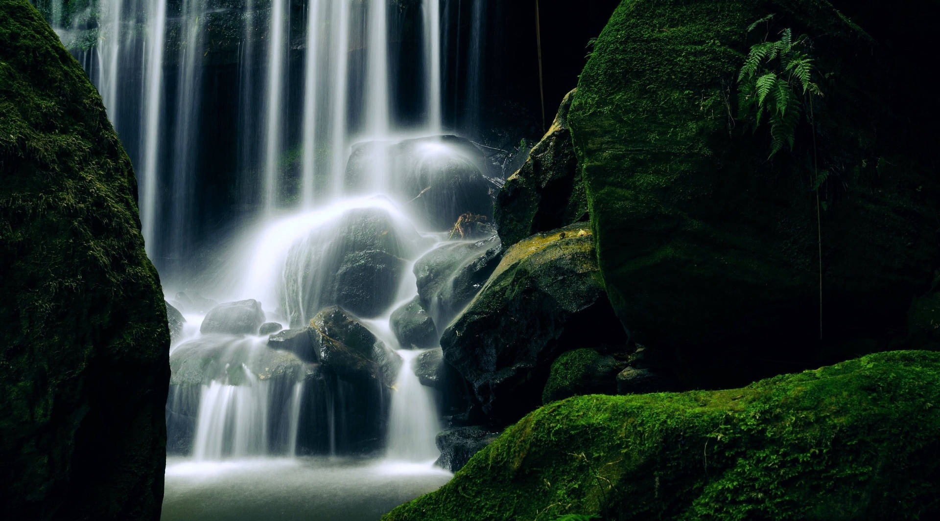 Super High Resolution Nature