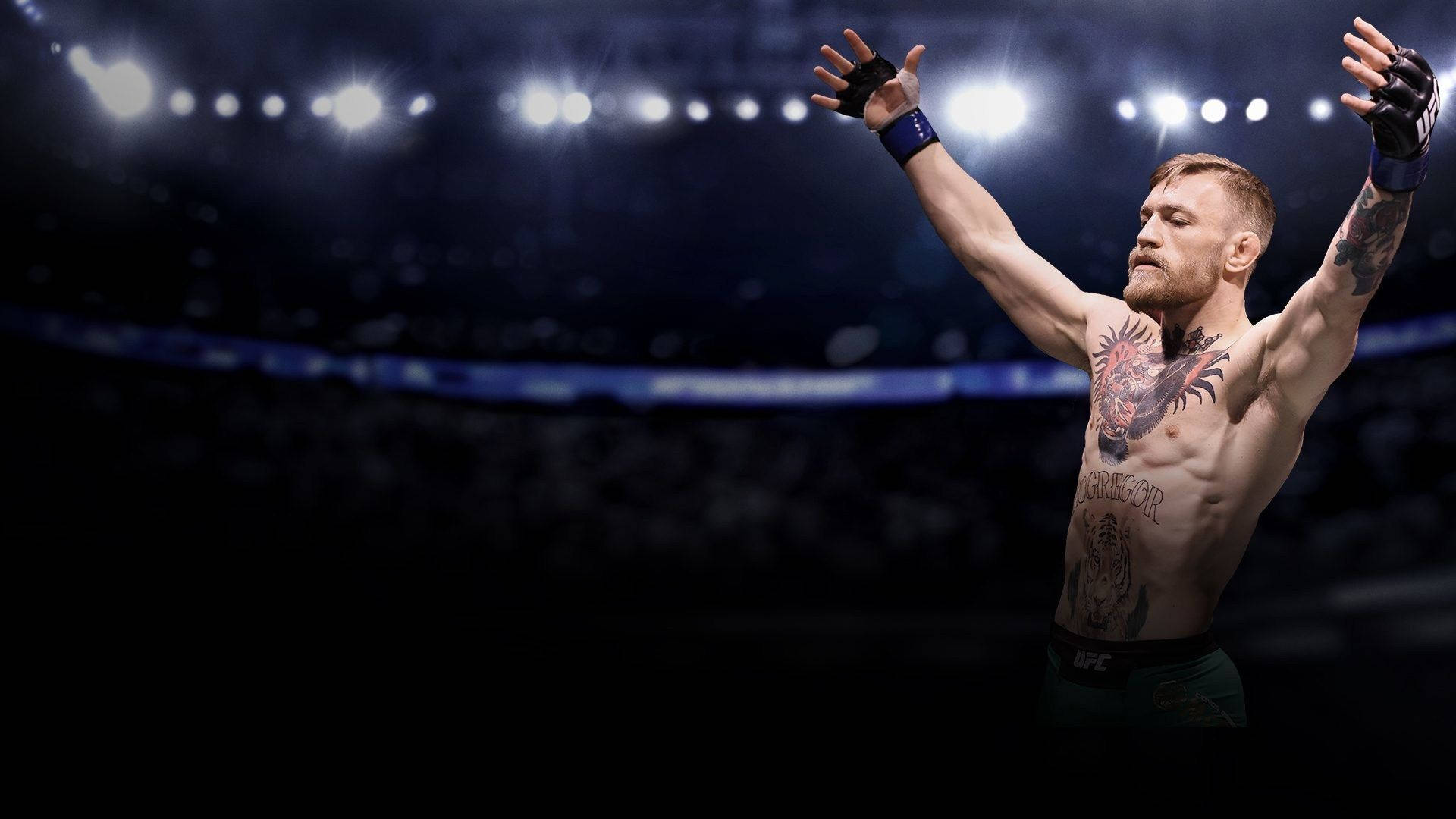 Ufc 100 Wallpaper