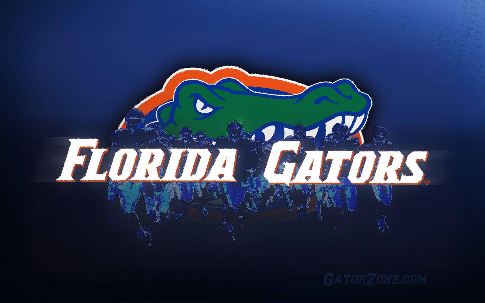 Download free University Of Florida Gators With Text Wallpaper MrWallpaper
