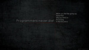 100 Free 4k Programming HD Wallpapers & Backgrounds - MrWallpaper.com