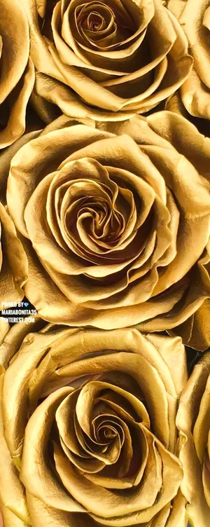 Download free Gold Aesthetic Pink Background Wallpaper MrWallpaper