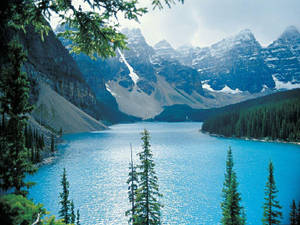 Download scenery wallpaper store